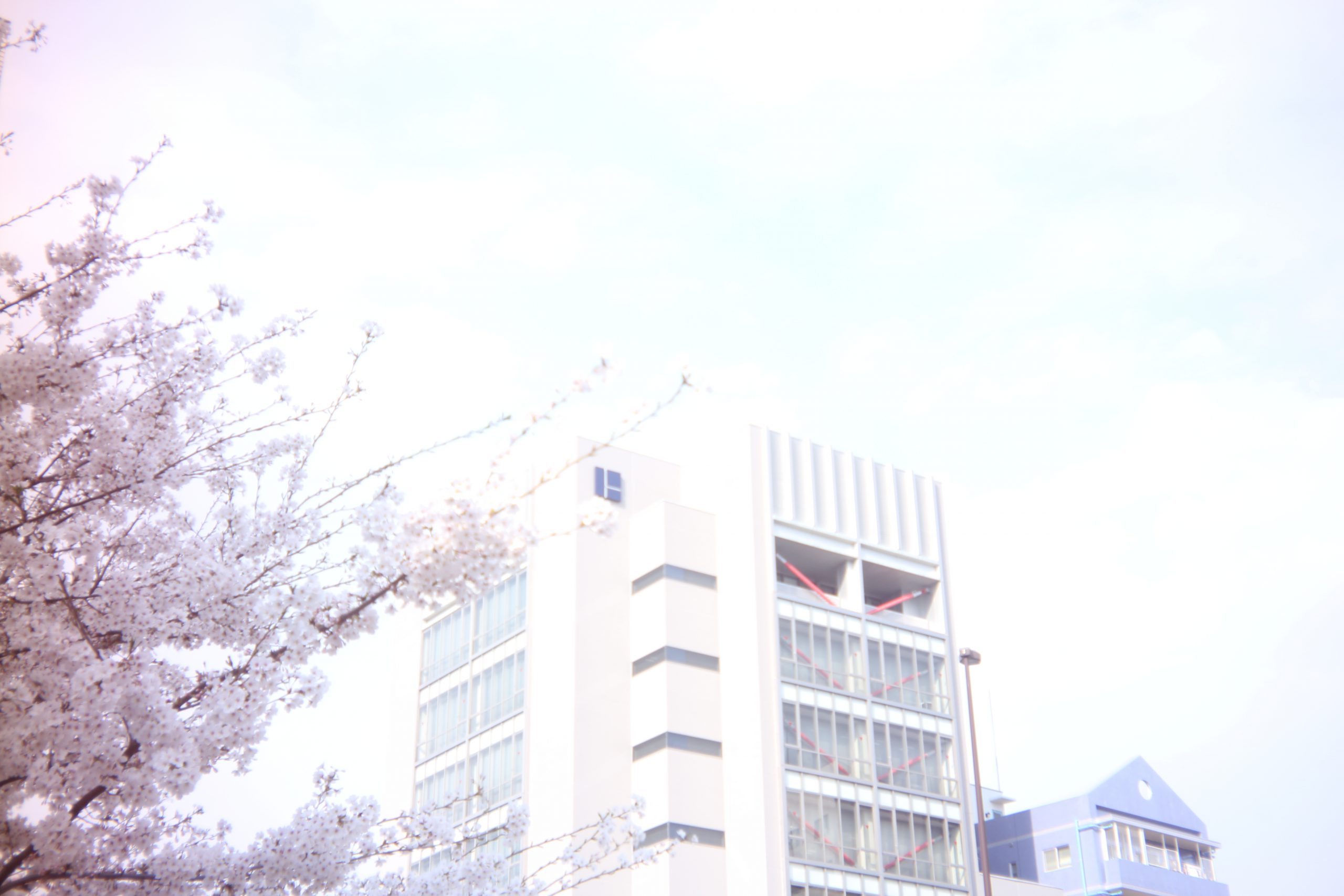 IMG_0027 – RESP技術ブログ