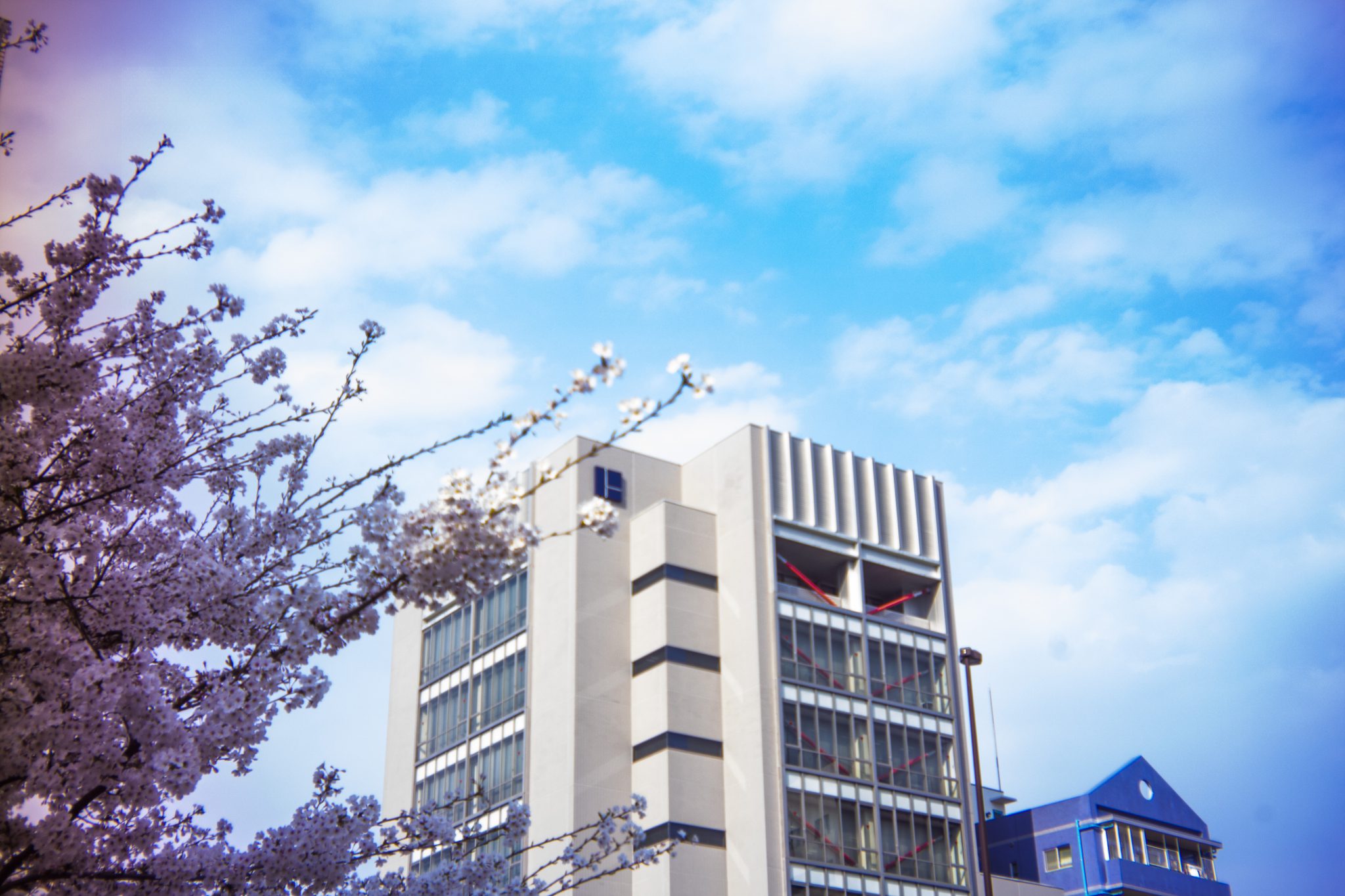 shinkan_spring_retouch – RESP技術ブログ